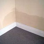 Rising Damp - Newcastle, Northumberland, Durham & Sunderland.